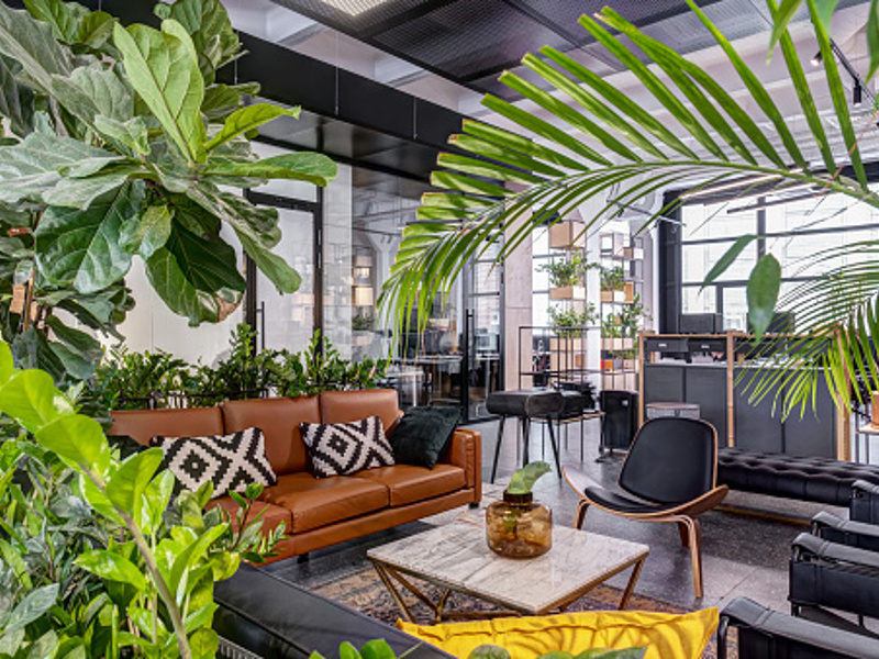 WeWork, George Street Edinburgh | Workthere